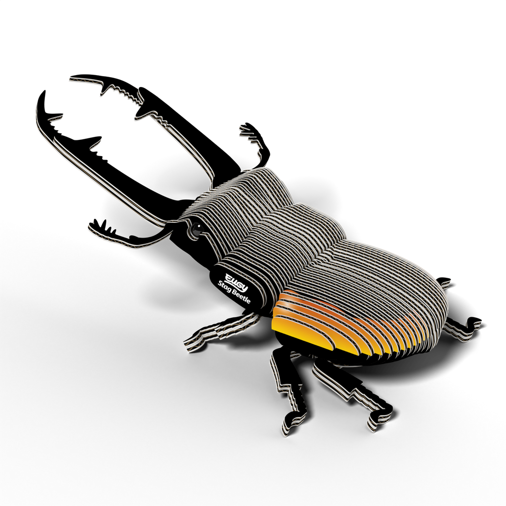 Eugy Insect- Stag Beetle — PaperMarket