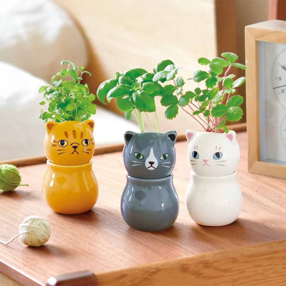 Corocoro Cat Growing Kit - Mint — PaperMarket