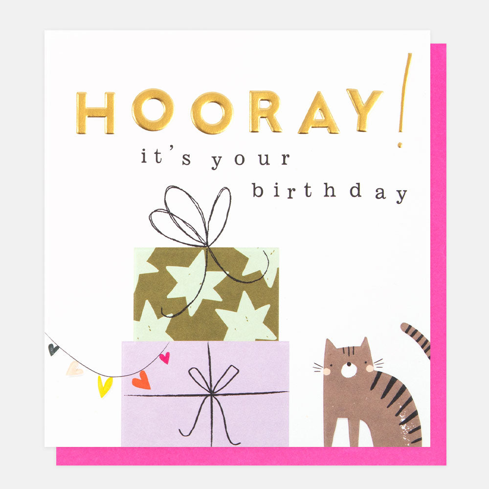 Greeting Card - Colour Pop Hooray Bday Cat — PaperMarket